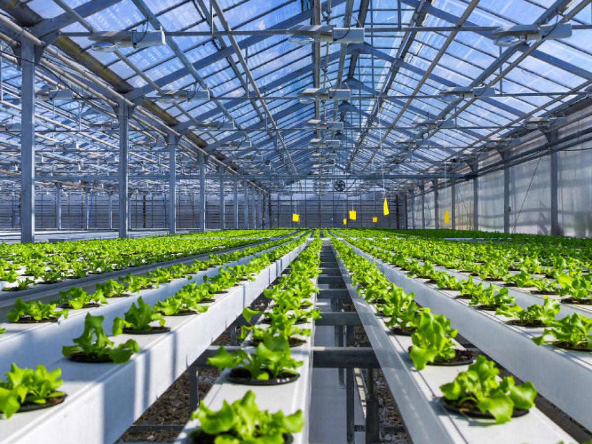 Hydroponics – Resyx